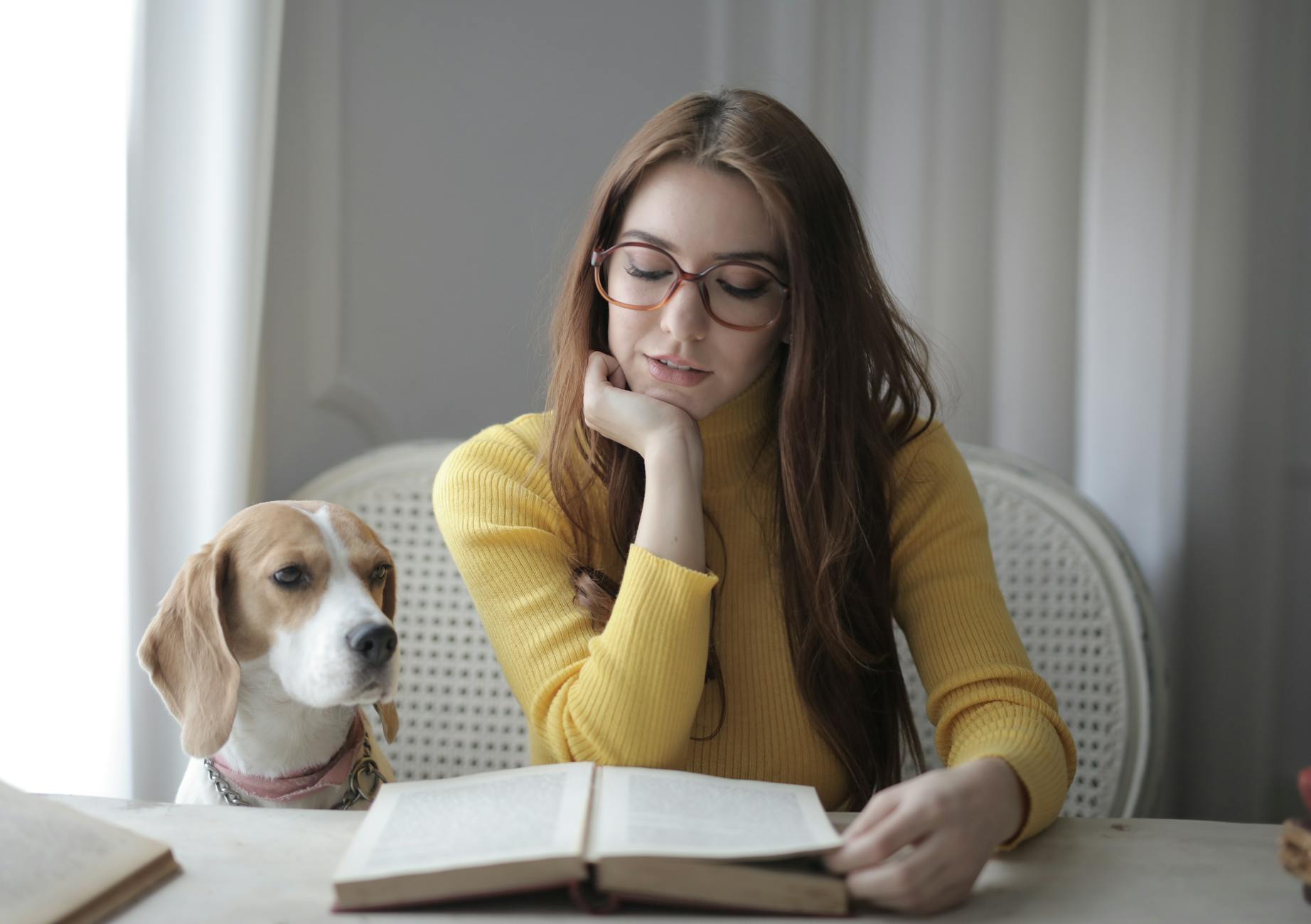 Pet Sitter Education Month: Elevating Pet Care Standards - Pet Alive